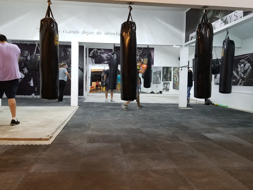 Boxing Gym - Ciudad Victoria