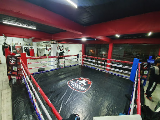 Chicarcas Boxing Team - Buenavista